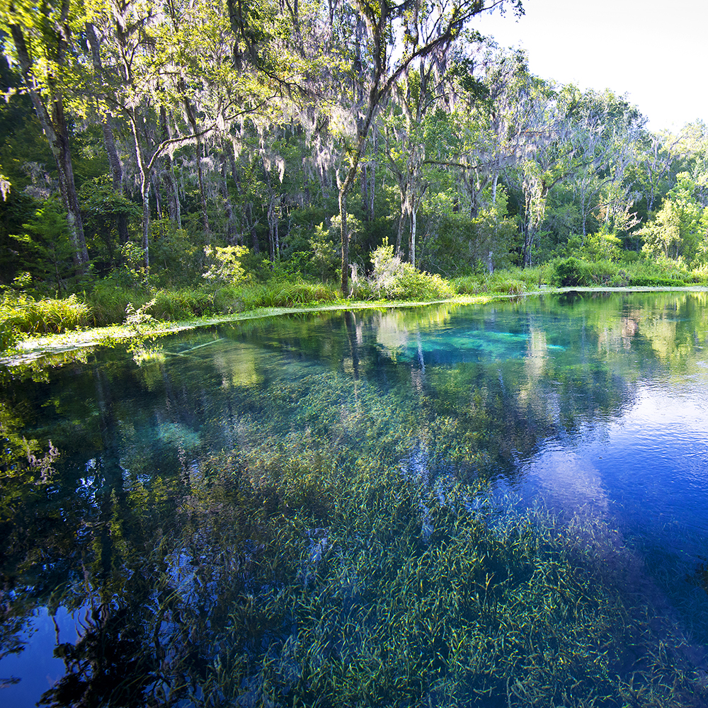 Ichetucknee Springs State Park